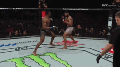 有哪些是现役ufc是值得一看、值得细品的选手? - 知乎