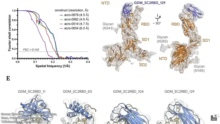 如何评价 DeepMind 最新模型 AlphaProteo？ - 知乎