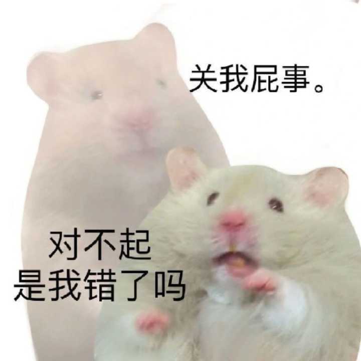 友友们，有没有发疯发癫的表情包? - 知乎