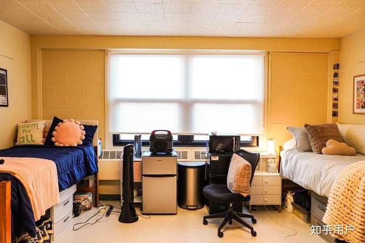 在塔夫茨大学（Tufts University）就读是怎样一番体验？ - 知乎