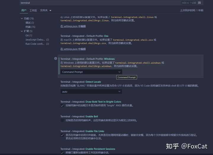 为什么vscode的code Runner输出的终端是powershell？ 知乎