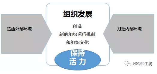 人力资源中的TD, LD, OD有怎样的区别和关联？ - 知乎