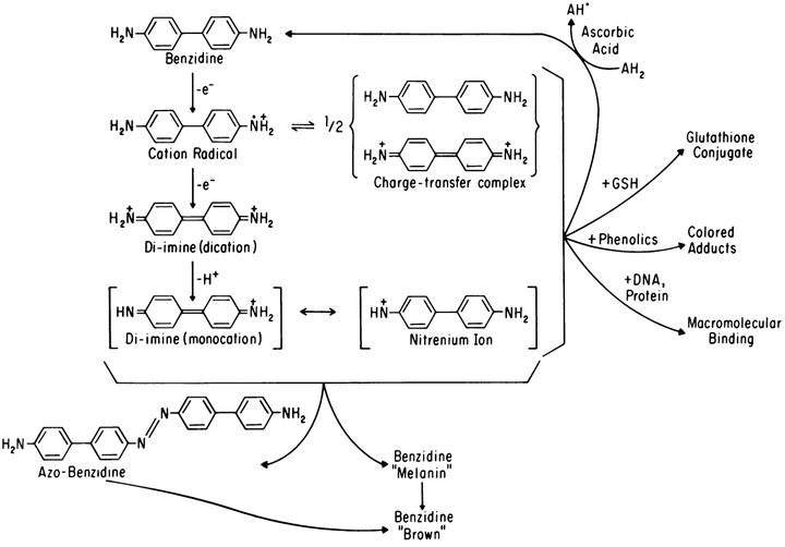 TMB/H2O2显色的原理是什么呢？ - 知乎