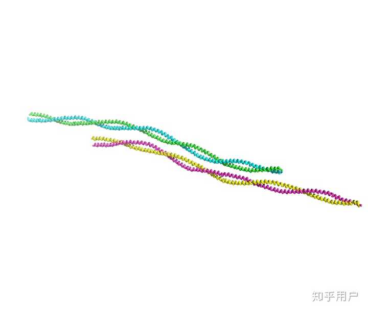 生物学 coiled-coil domains是什么意思？ - 知乎