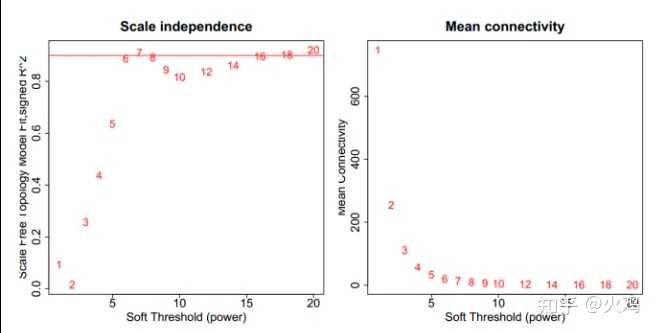 如何理解WGCNA中的最优软阈值？ - 知乎