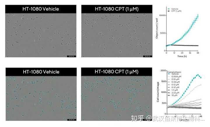 如何使用IncuCyte®活细胞分析系统进行您的研究？ - 知乎
