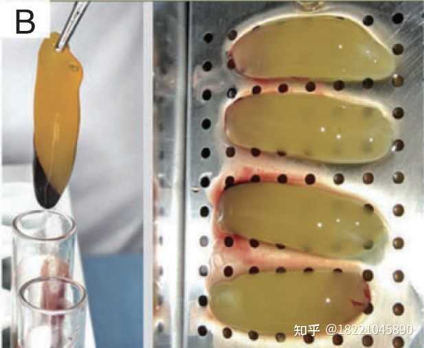 PPP，PRP、PRF都是什么，有什么区别？ - 知乎