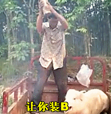 有没有专属于程序猿的表情包？ - 知乎