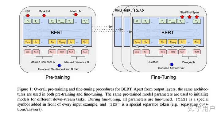 为什么说bert是动态embedding？ - 知乎