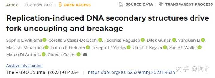DNA的复制错误如何影响基因突变? - 知乎
