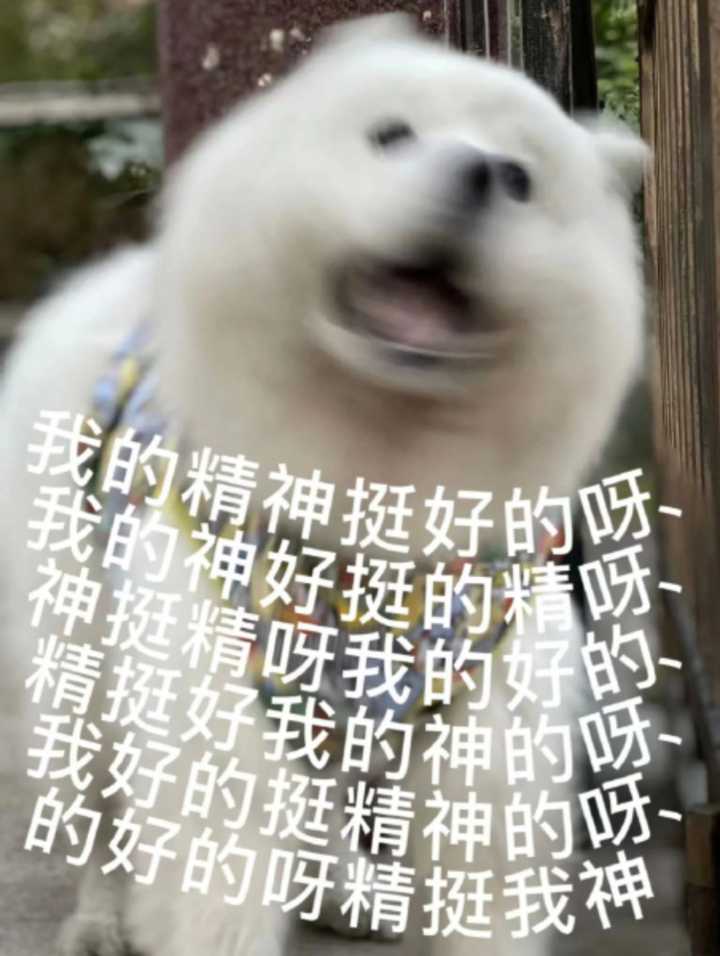 友友们，有没有发疯发癫的表情包? - 知乎