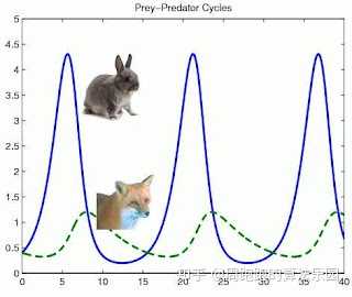 如何理解Predator-prey systems？ - 知乎
