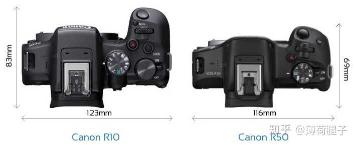 新手选择佳能r10还是r50？ - 知乎
