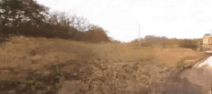 如何理解Tesla和Wayve在CVPR2023 workshop上提到的world model？ - 知乎