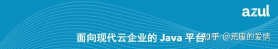 Azul Systems 是什么样的公司？ - 知乎