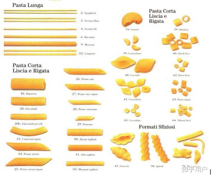 spaghetti、lasagna和pasta分别到底指什么有什么区别呀？ - 知乎