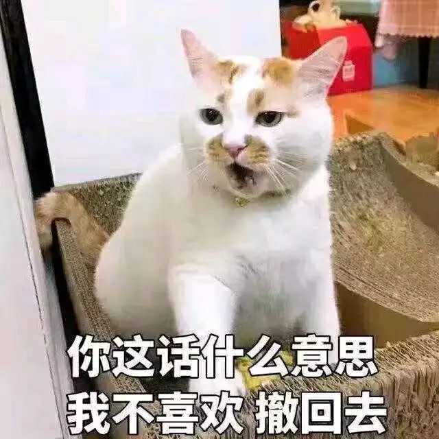 大家，有没有猫的沙雕表情包？ 知乎
