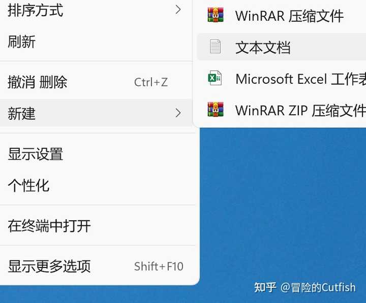 PS2023安装DR5失败，扩展选项一直灰色? - 知乎