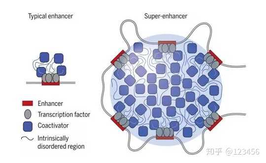 什么是「相分离（phase separation）」？近年来取得了哪些进展，会成为蛋白质研究的热点吗？ - 知乎