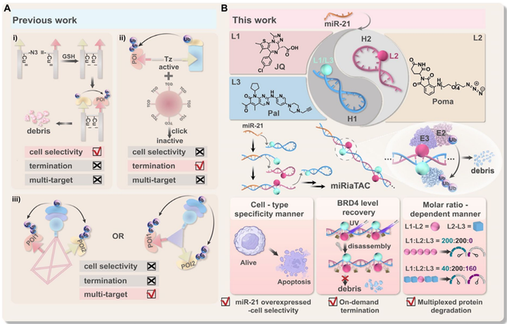 miRMNA和siRNA，hnRNA，mRNA，piRNA分别是什么？ - 知乎