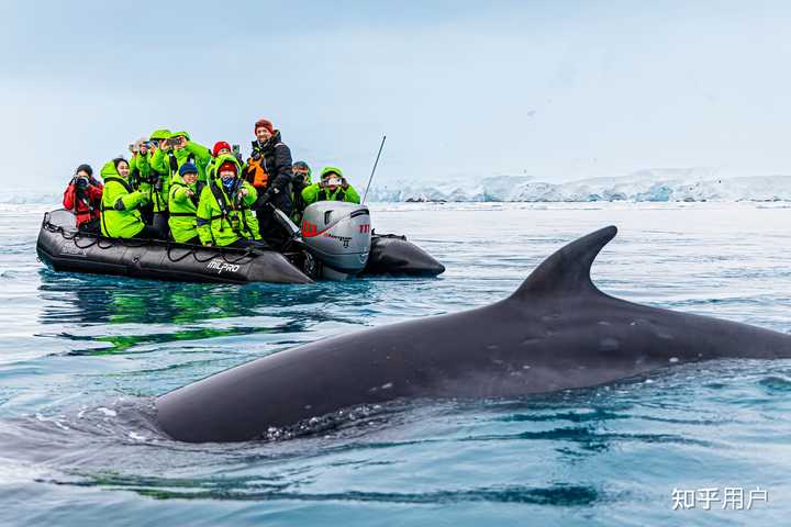 是趁着降价入佳能R62还是等R63? - 知乎