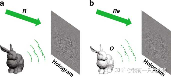 什么是计算全息（Computer Generated Holography）？ - 知乎