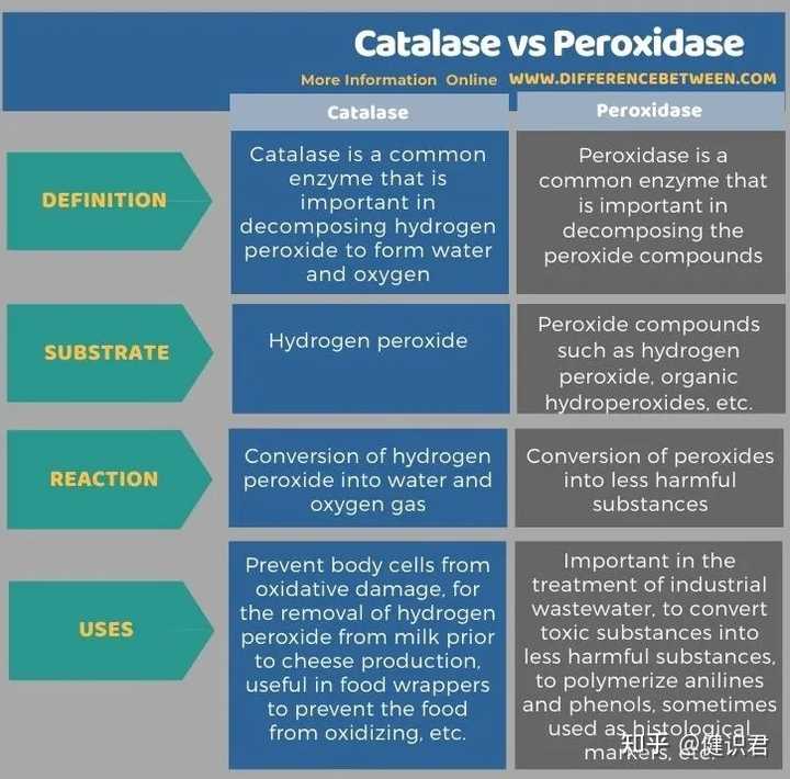 怎样区分过氧化物酶和氧化物酶？ - 知乎