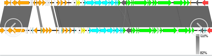 Easyfig怎么使用? - 知乎