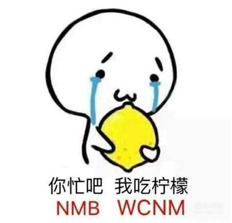 nmsl=你没事了之类的话? - 知乎