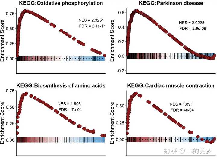 如何解读 gsea 分析结果？ - 知乎
