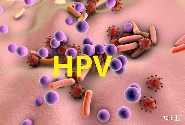 HPV怎么算是正确的预防？有那么可怕吗？ - 知乎
