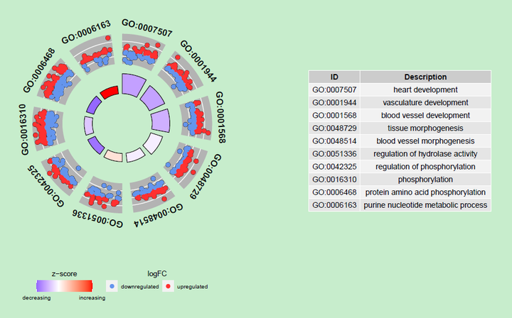 GO富集分析和KEGG分析? - 知乎