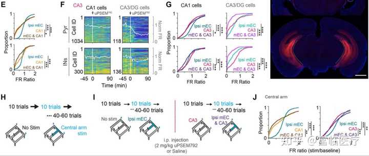 深度学习中 number of training epochs 中的 epoch到底指什么？ - 知乎