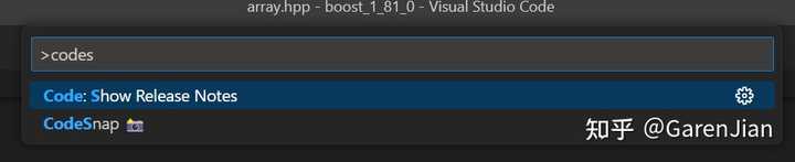 VSCode是否有一种插件能很好地展示代码？ - 知乎