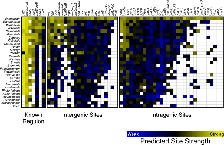 蛋白质DNA互作研究，选ChIP还是CUT&Tag? - 知乎