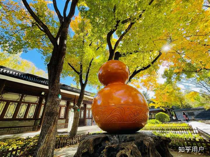 大学生创新创业该如何设置团队分工? - 知乎