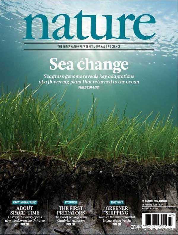 国内有没有类似于《NATURE》《SCIENCE》的杂志？ - 知乎