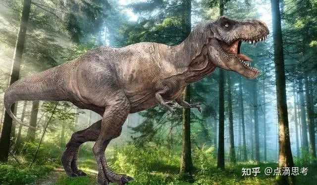 迅猛龙和霸王龙的体型有何差异？ - 知乎