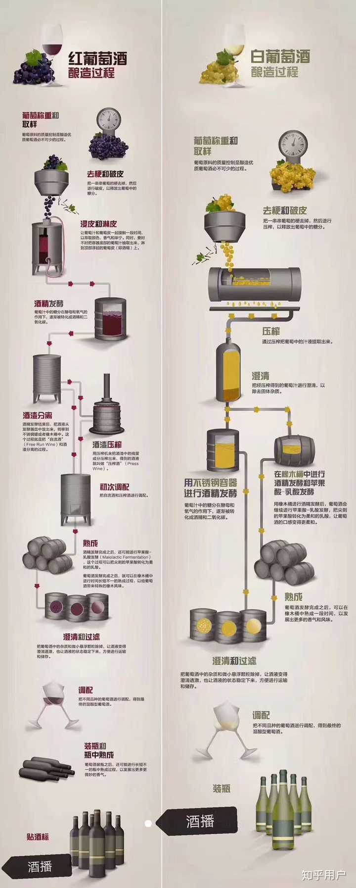 葡萄酒的制作方法? 知乎