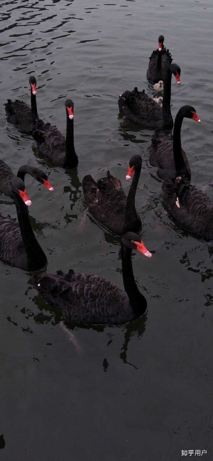 知友们有好看的壁纸推荐一下，谢谢？ - 知乎