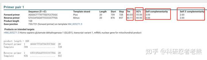如何进行引物设计？ - 知乎