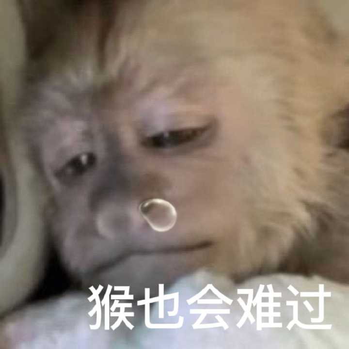 请问大家有没有猴子的表情包？ - 知乎