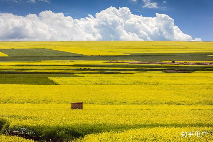 现在买佳能5d2怎么样? - 知乎