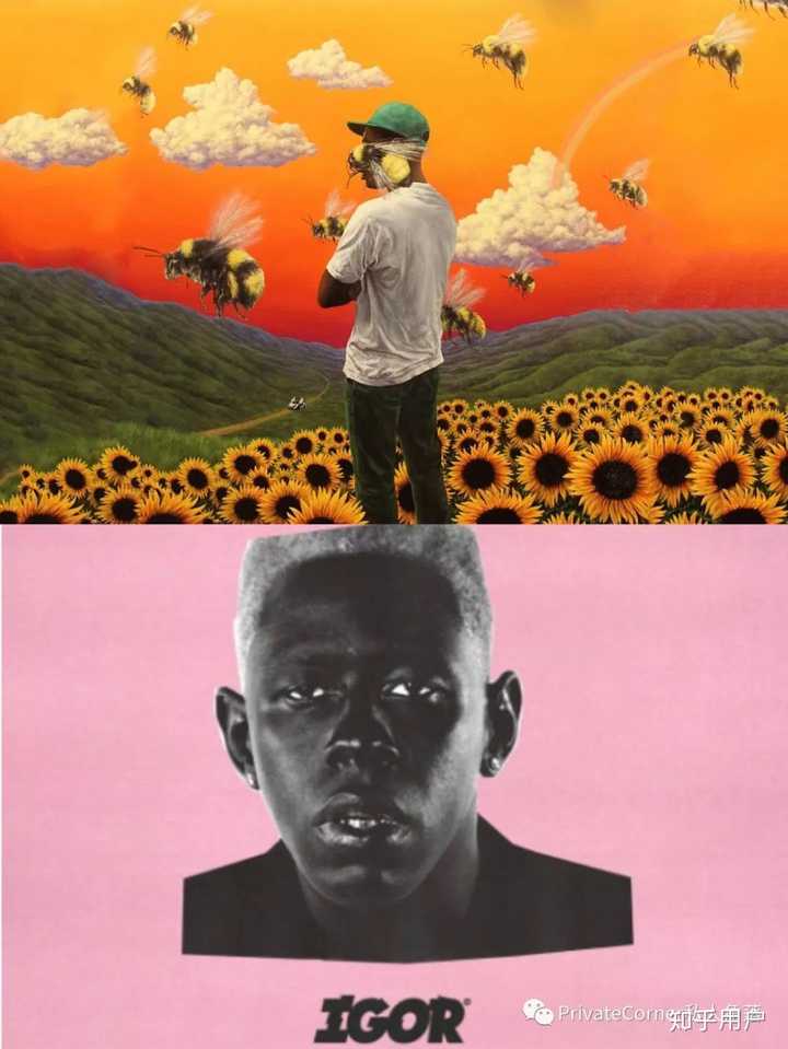 如何评价Tyler, The Creator的新专辑IGOR？ - 知乎