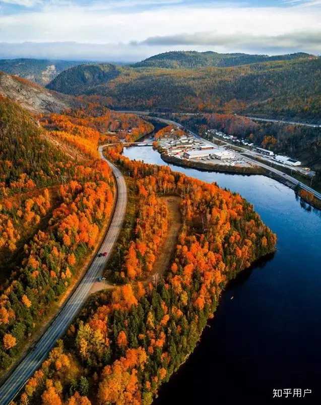 加拿大的枫叶，哪个时间普遍变红？ - 知乎