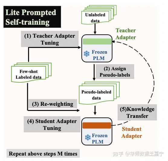 bert模型的微调，如何固定住BERT预训练模型参数，只训练下游任务的模型参数？ - 知乎