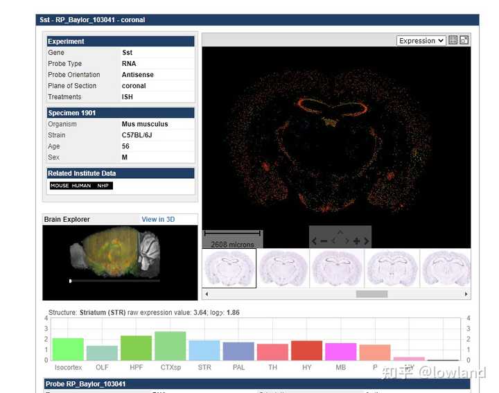 关于Allen brain atlas ISH图像? - 知乎