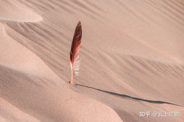 大厂面试丨为什么阿里的java开发规范，禁止使用executors创建线程池？ 知乎