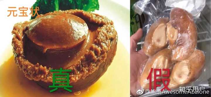 网上很火的非洲黄金鲍究竟是什么玩意？ - 知乎