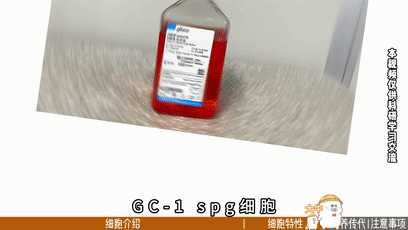 GC-1 spg和GC-2 spd区别？ - 知乎